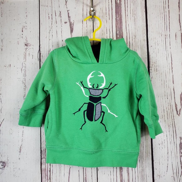 Gymboree | Shirts & Tops | Gymboree Hoodie Sweatshirt Boys Size 62m ...